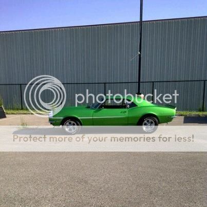 R M paint ?? | Team Camaro Tech